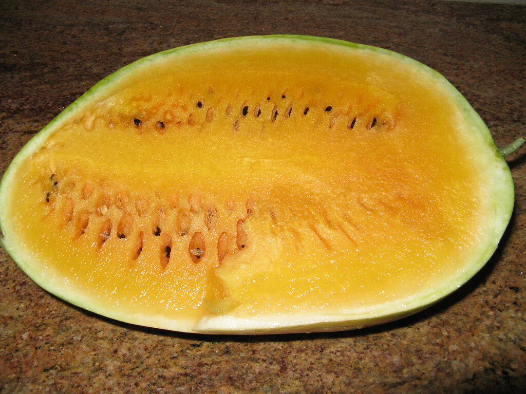 Gold Strike Watermelon - General Fruit Growing - Growing Fruit