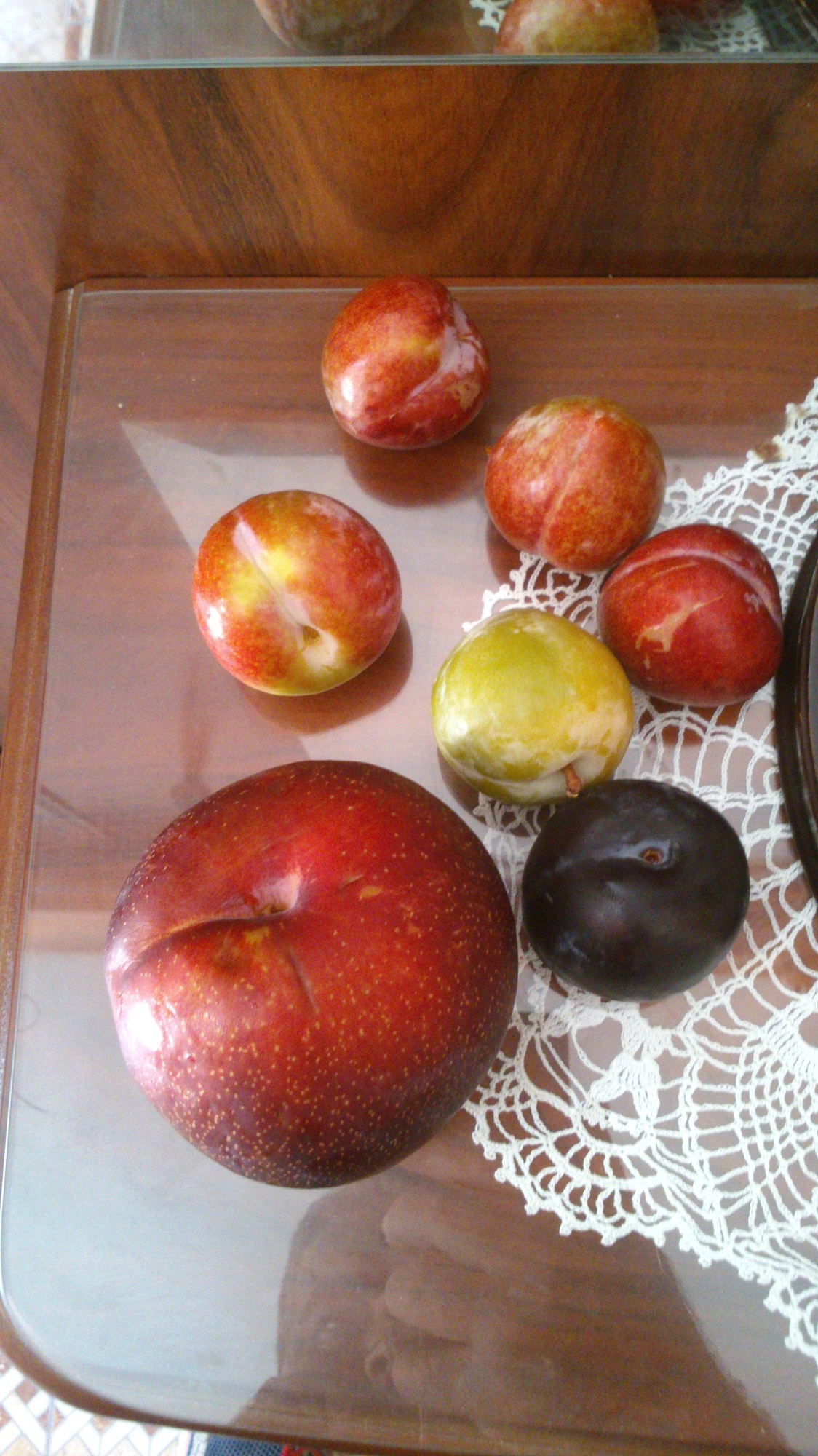 Primetime plum - Pictures! - Growing Fruit