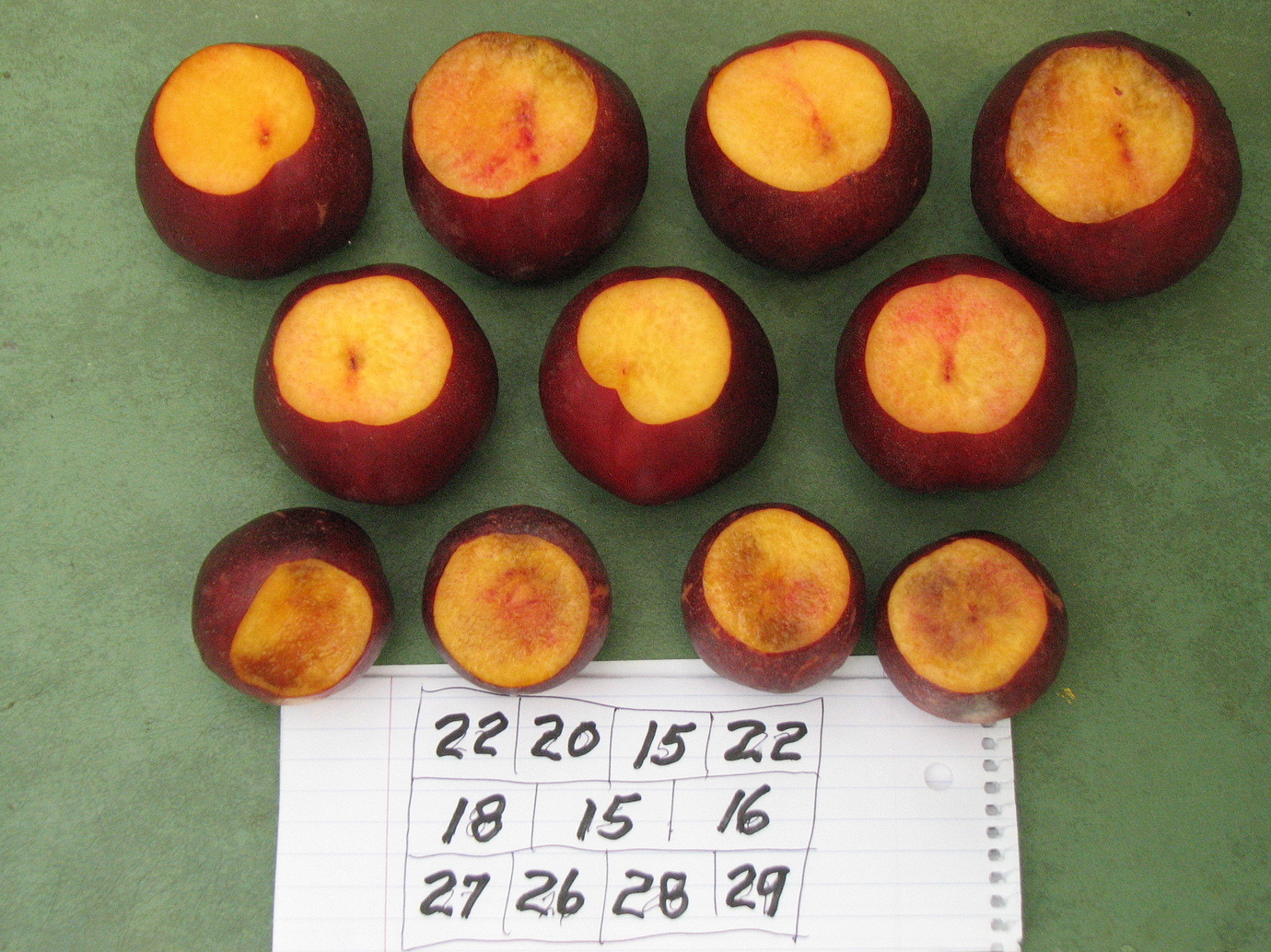 Some things I don't understand about stonefruit brix - General Fruit ...