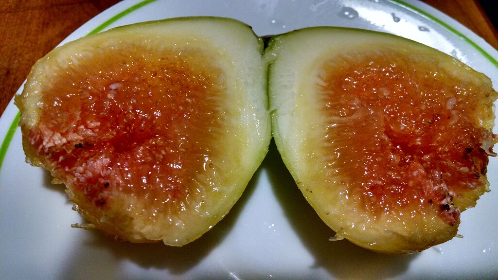 Fig ID please - General Fruit Growing - Growing Fruit