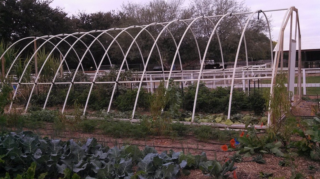 Free or low cost hoop houses - General Gardening - Growing Fruit