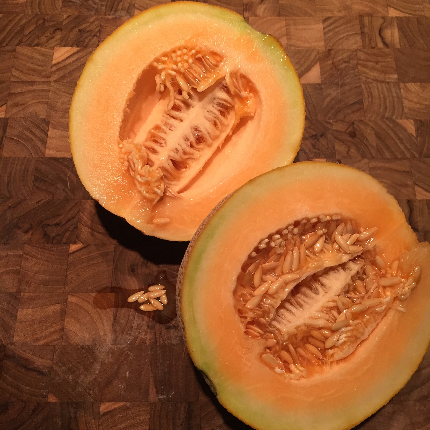 Melon Watch - General Gardening - Growing Fruit