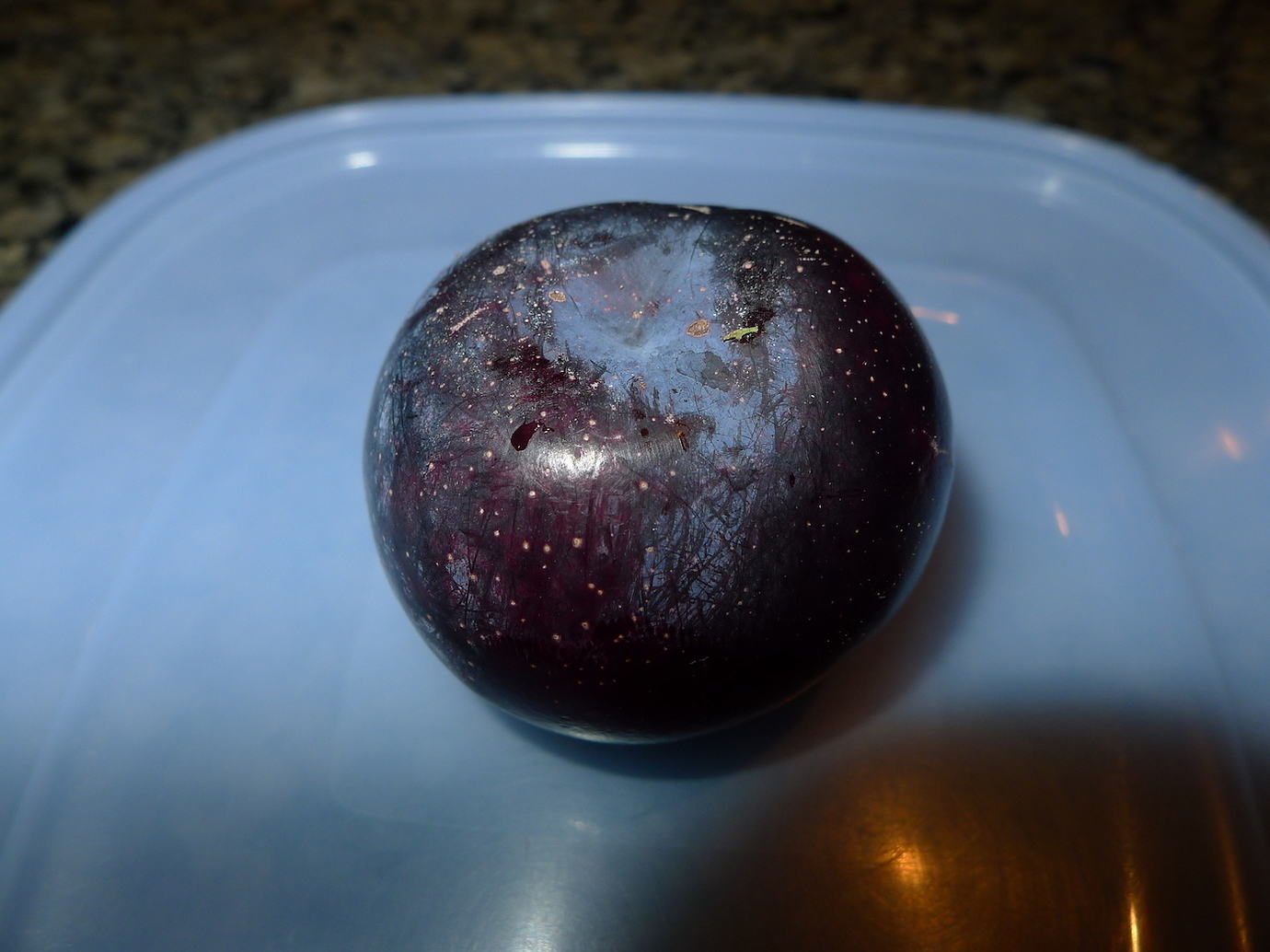 Plum/Pluot Identification - General Fruit Growing - Growing Fruit
