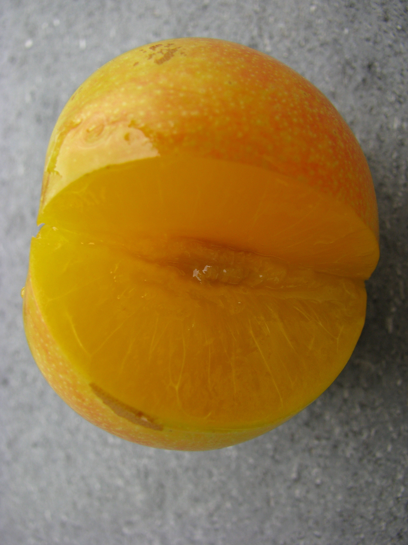 Gauging Green Gage - General Fruit Growing - Growing Fruit