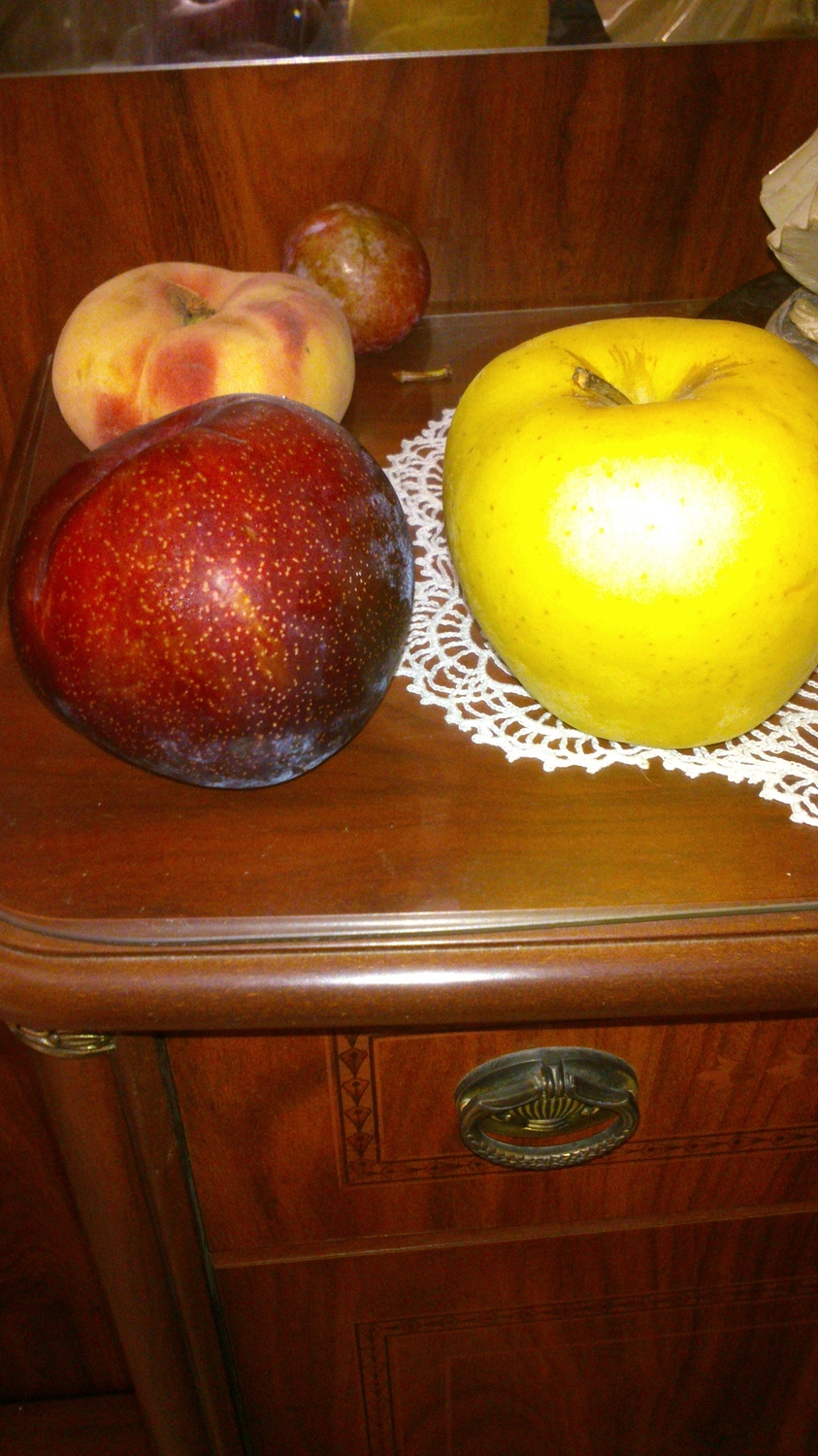 Primetime plum - Pictures! - Growing Fruit