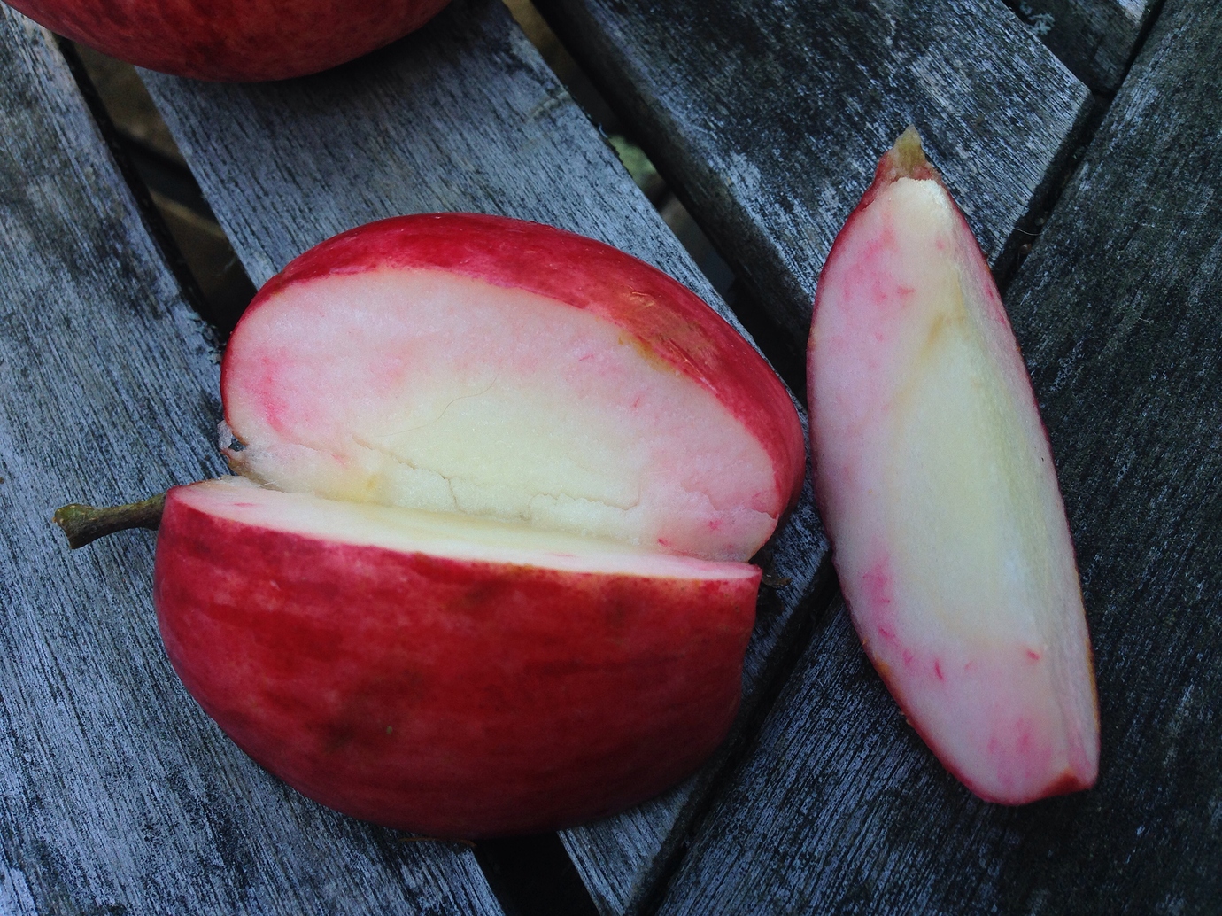 Maine Apple identification help - General Fruit Growing - Growing Fruit