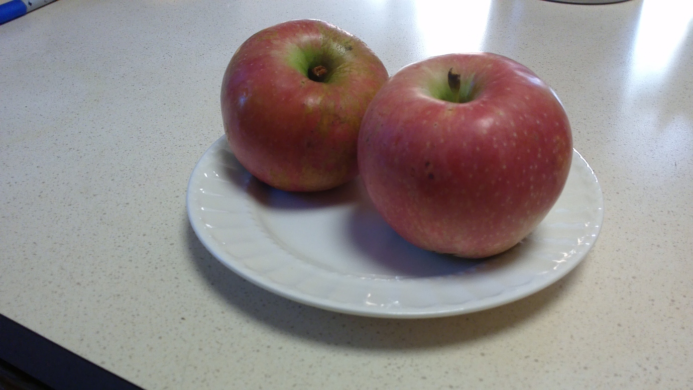 Apple Experiences 2016 - General Fruit Growing - Growing Fruit