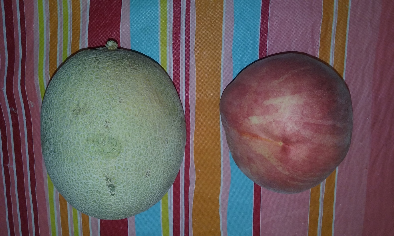 A really big peach - General Fruit Growing - Growing Fruit