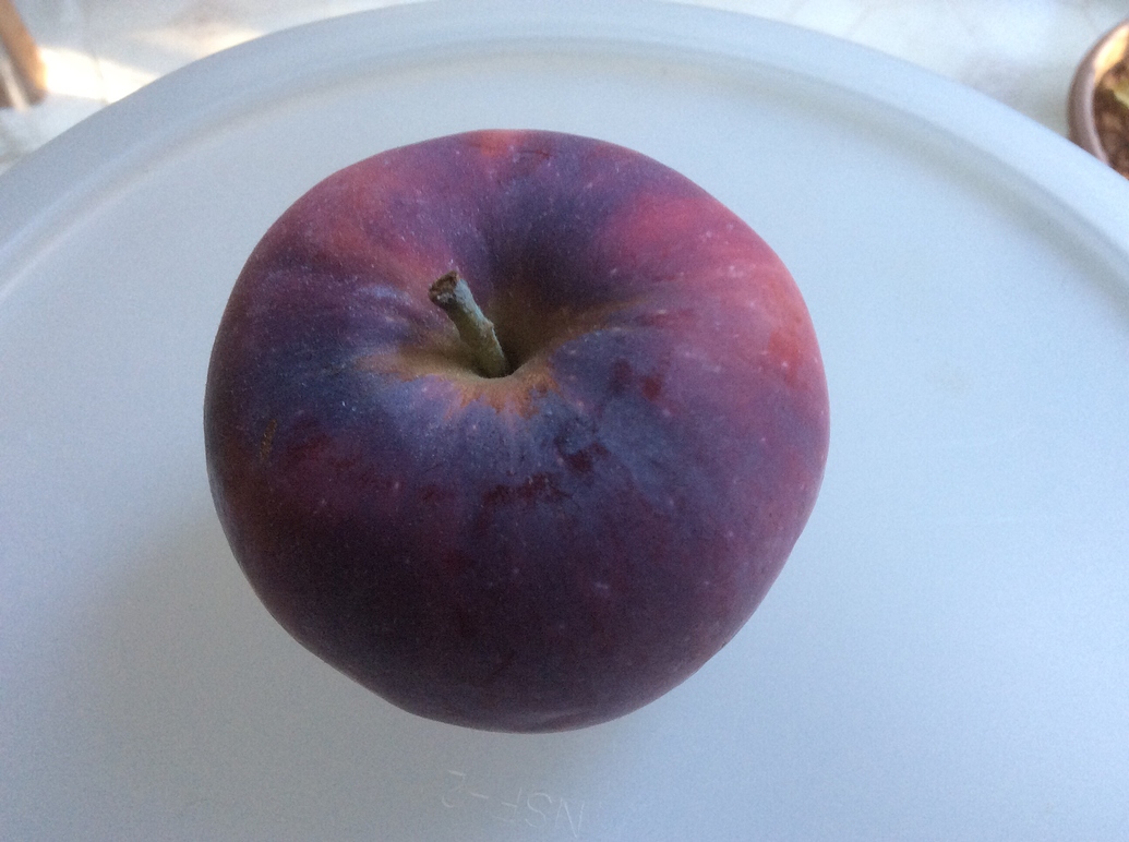 William's Pride apple - is it good? - General Fruit Growing - Growing Fruit