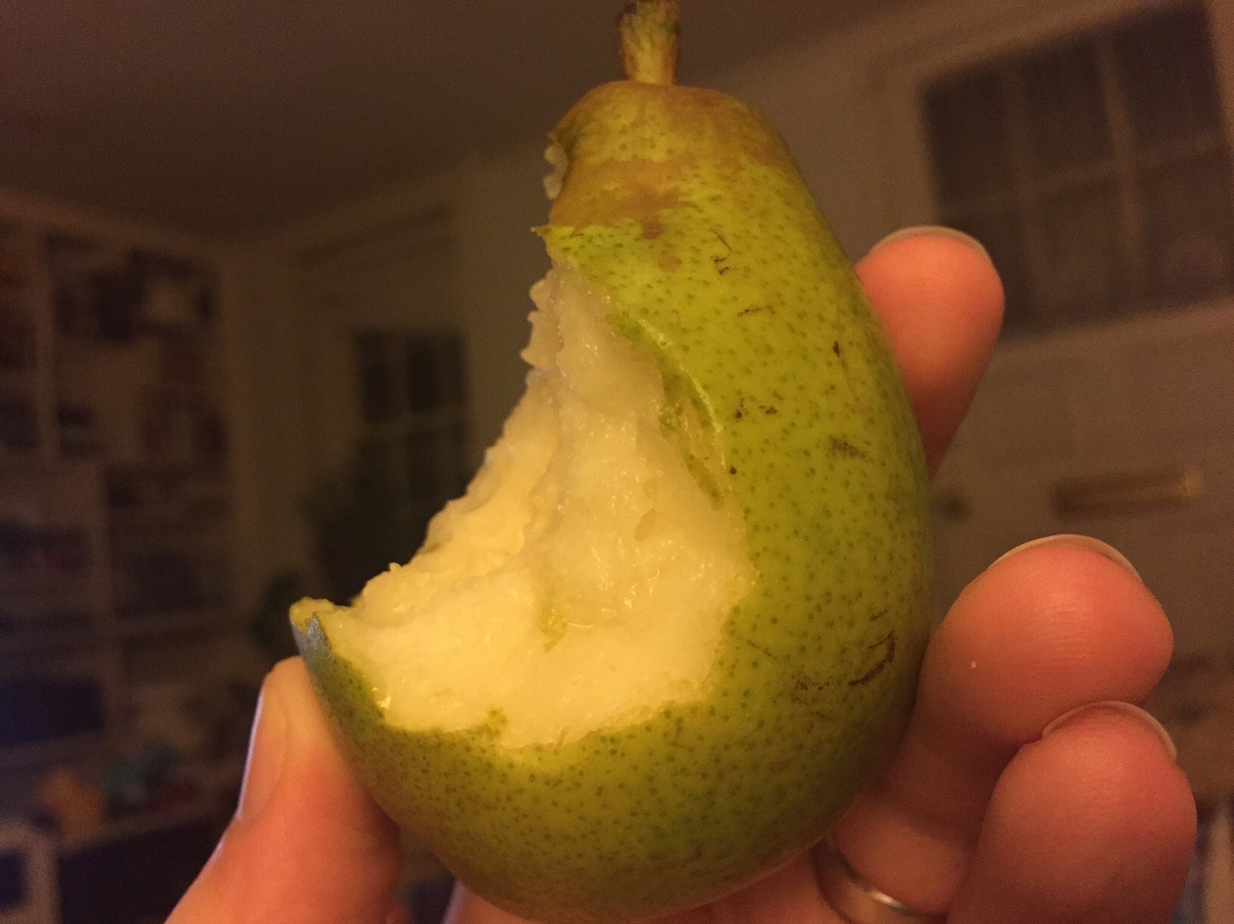 Warren Pear - General Fruit Growing - Growing Fruit