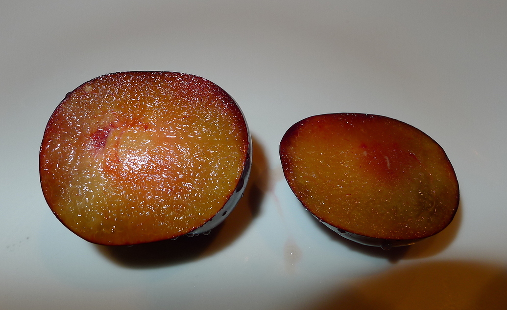 Plum/Pluot Identification - General Fruit Growing - Growing Fruit