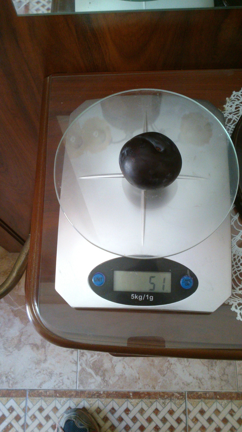 Primetime plum - Pictures! - Growing Fruit