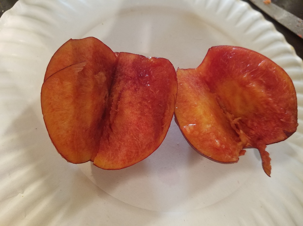 ID this red fleshed peach? - General Fruit Growing - Growing Fruit