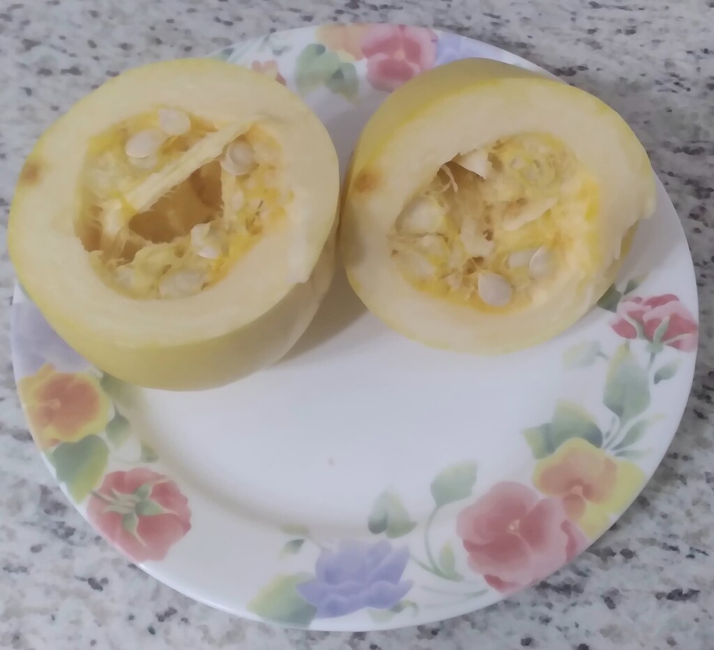 Spaghetti grows on a vine - General Gardening - Growing Fruit