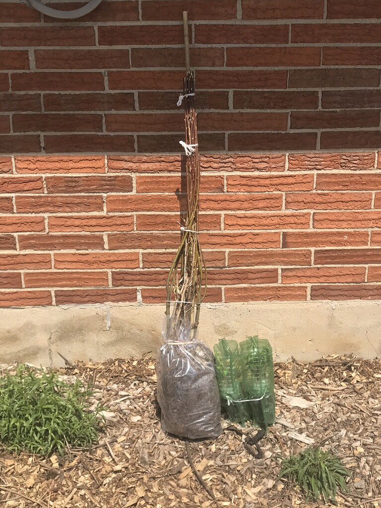 First time ordering (fruit) from Jung Seed review - General Fruit ...