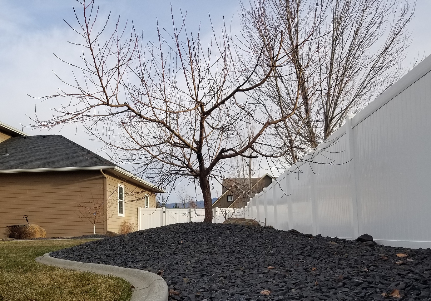 New Orchard - Creating Mounds for Trees - General Fruit Growing ...