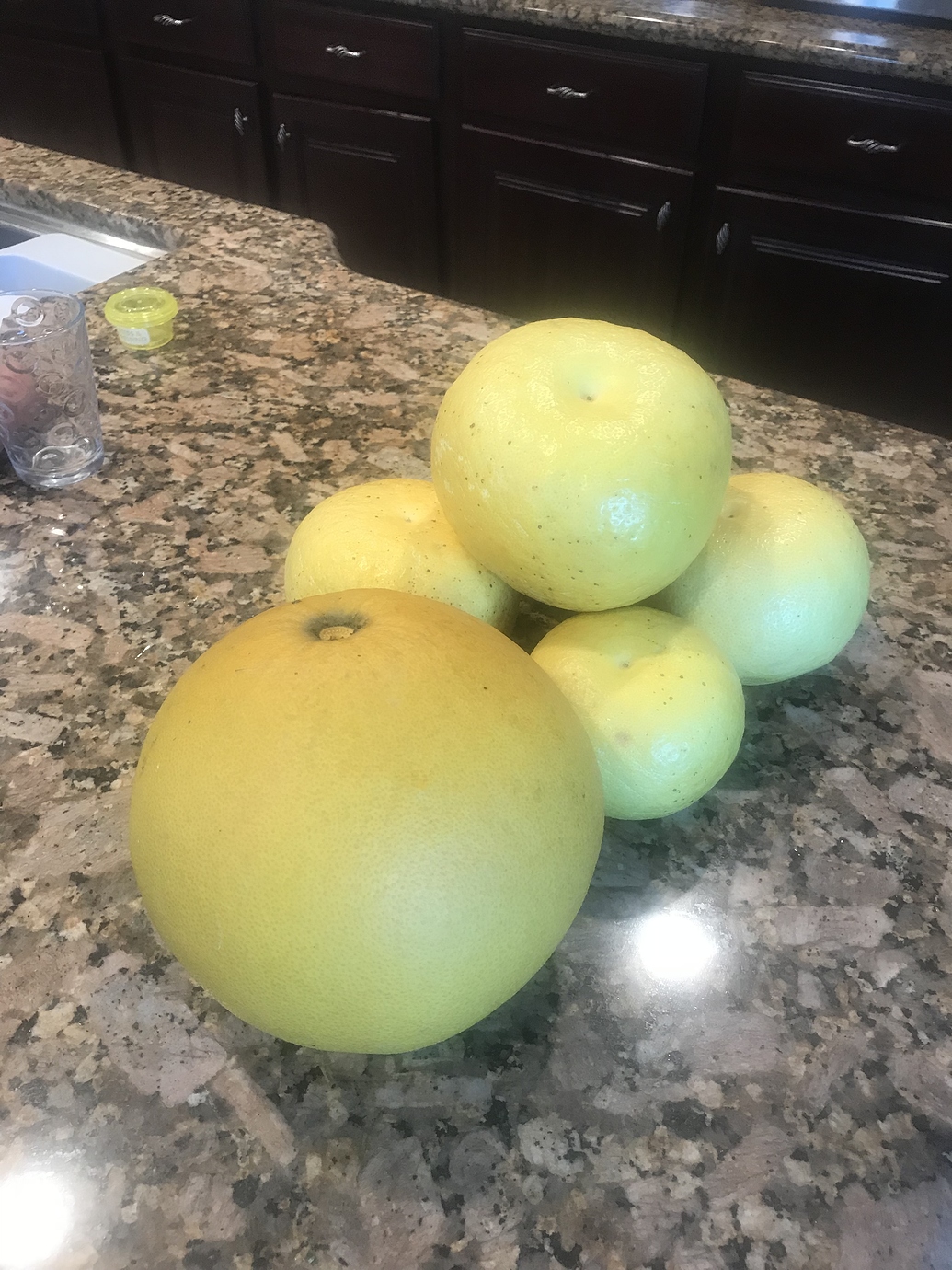 First fruit of the Potted Thong Dee Pomelo! - Pictures! - Growing Fruit