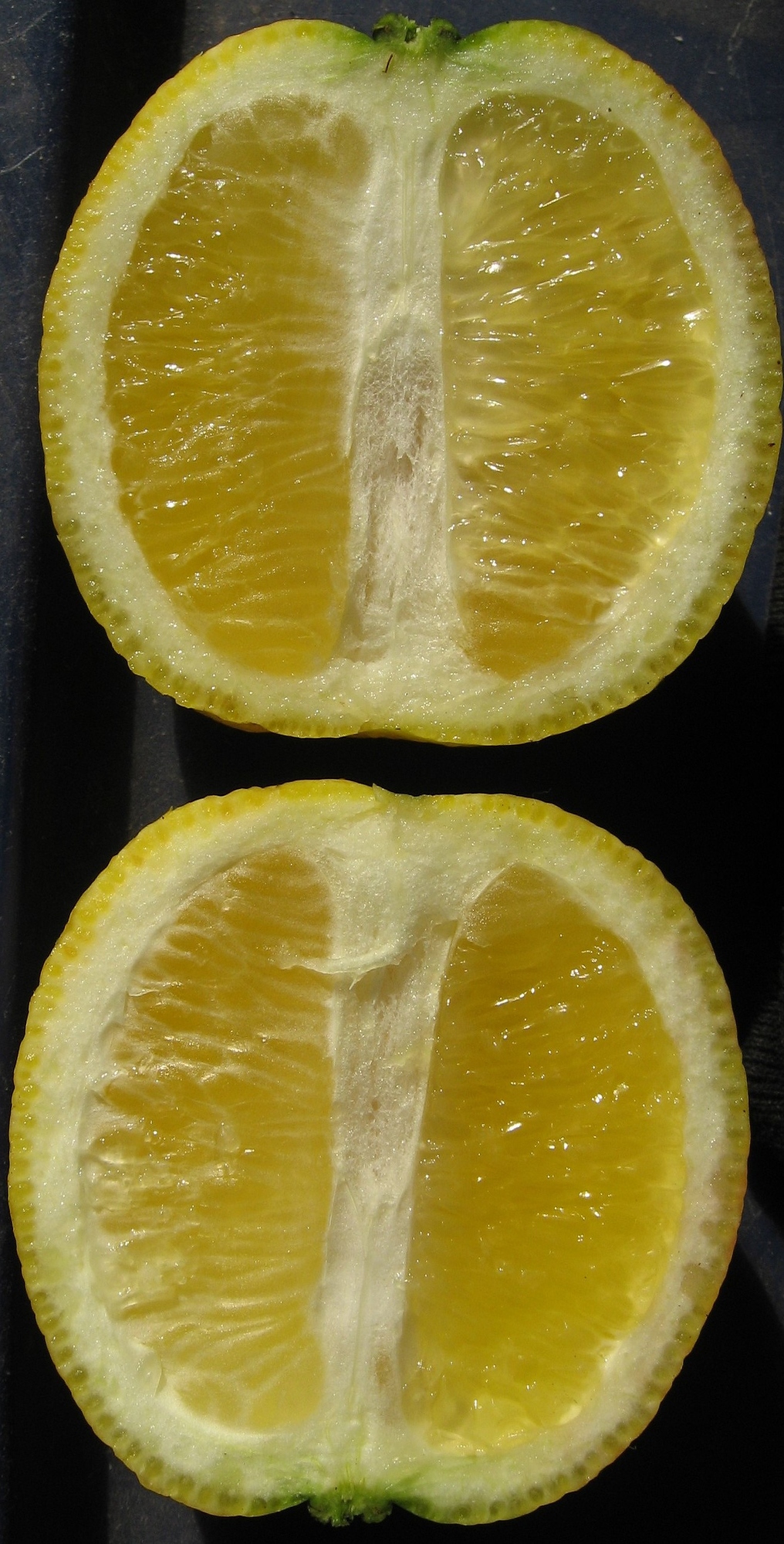 Most fragrant fruits you have grown or know - General Fruit Growing ...