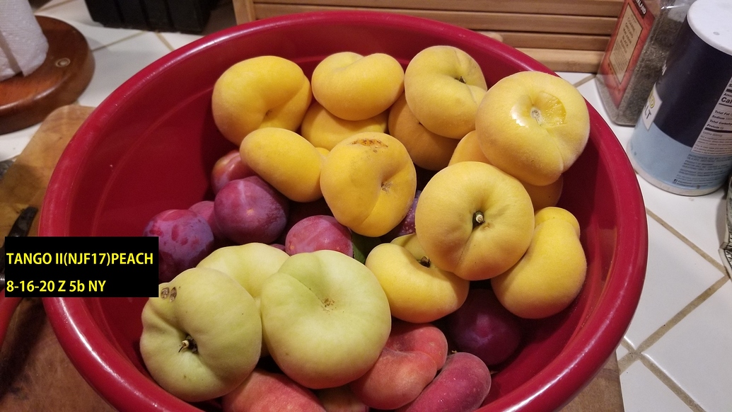 The Exquisite Peach - TANGO II - NJF17 - General Fruit Growing ...
