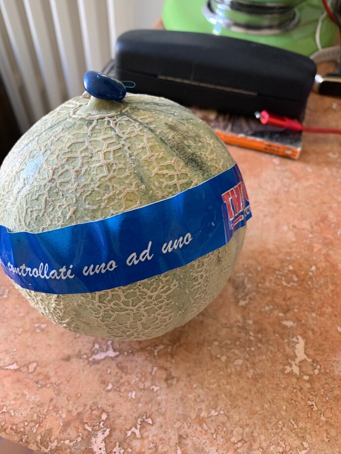 Poppy fields and the first melons from Italy - Pictures! - Growing Fruit