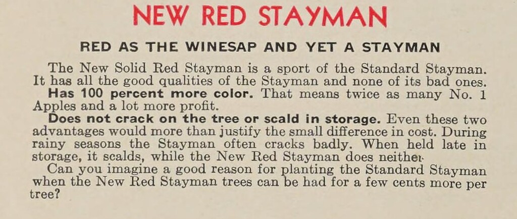 1938 New Red Stayman - General Fruit Growing - Growing Fruit