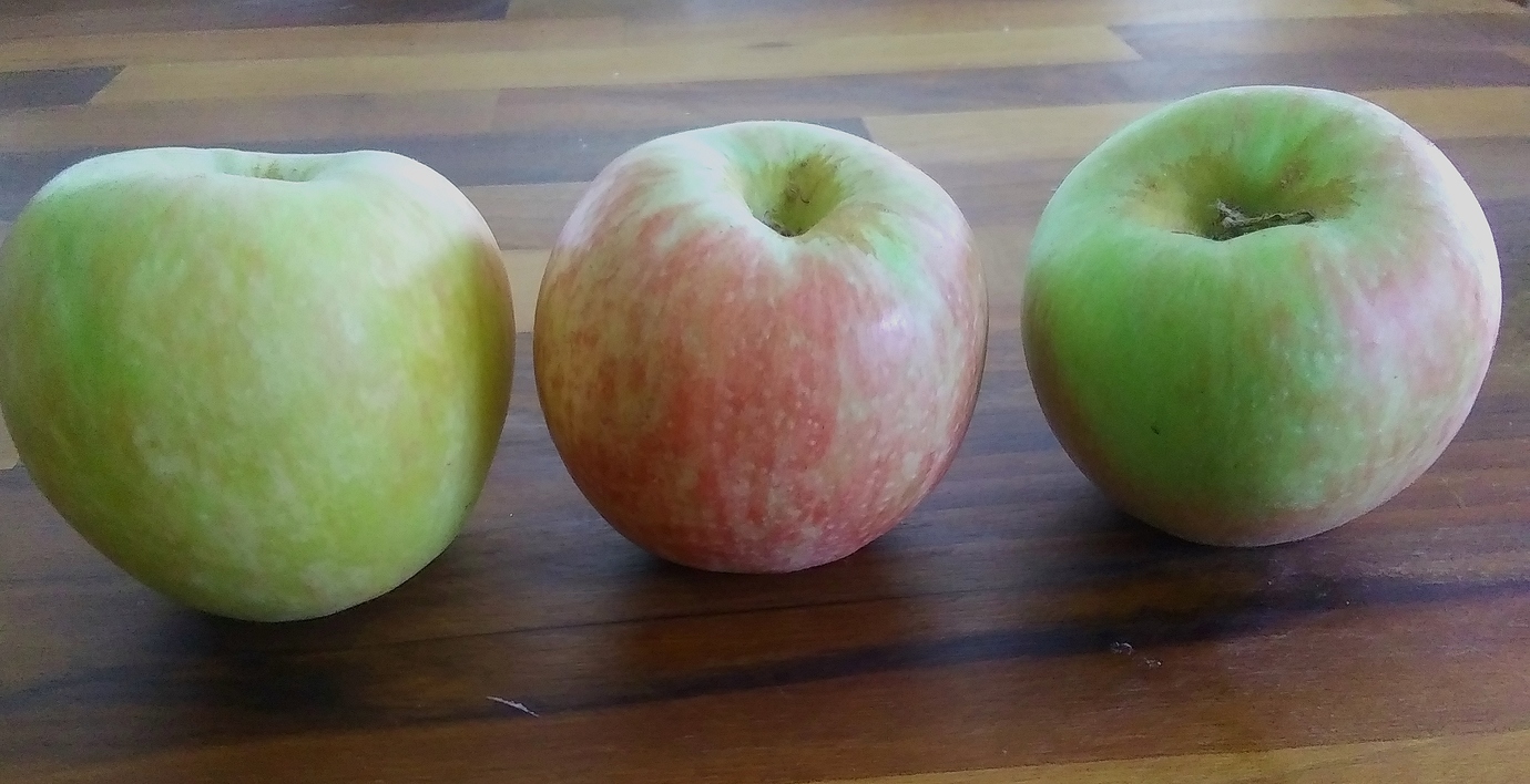 Doux Normandy apple - Cider - Growing Fruit
