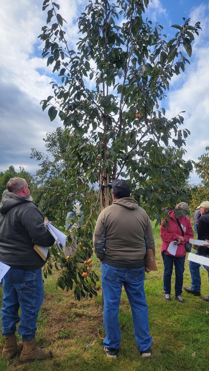 England's Orchard Tour - 10/9/23 - General Fruit Growing - Growing Fruit