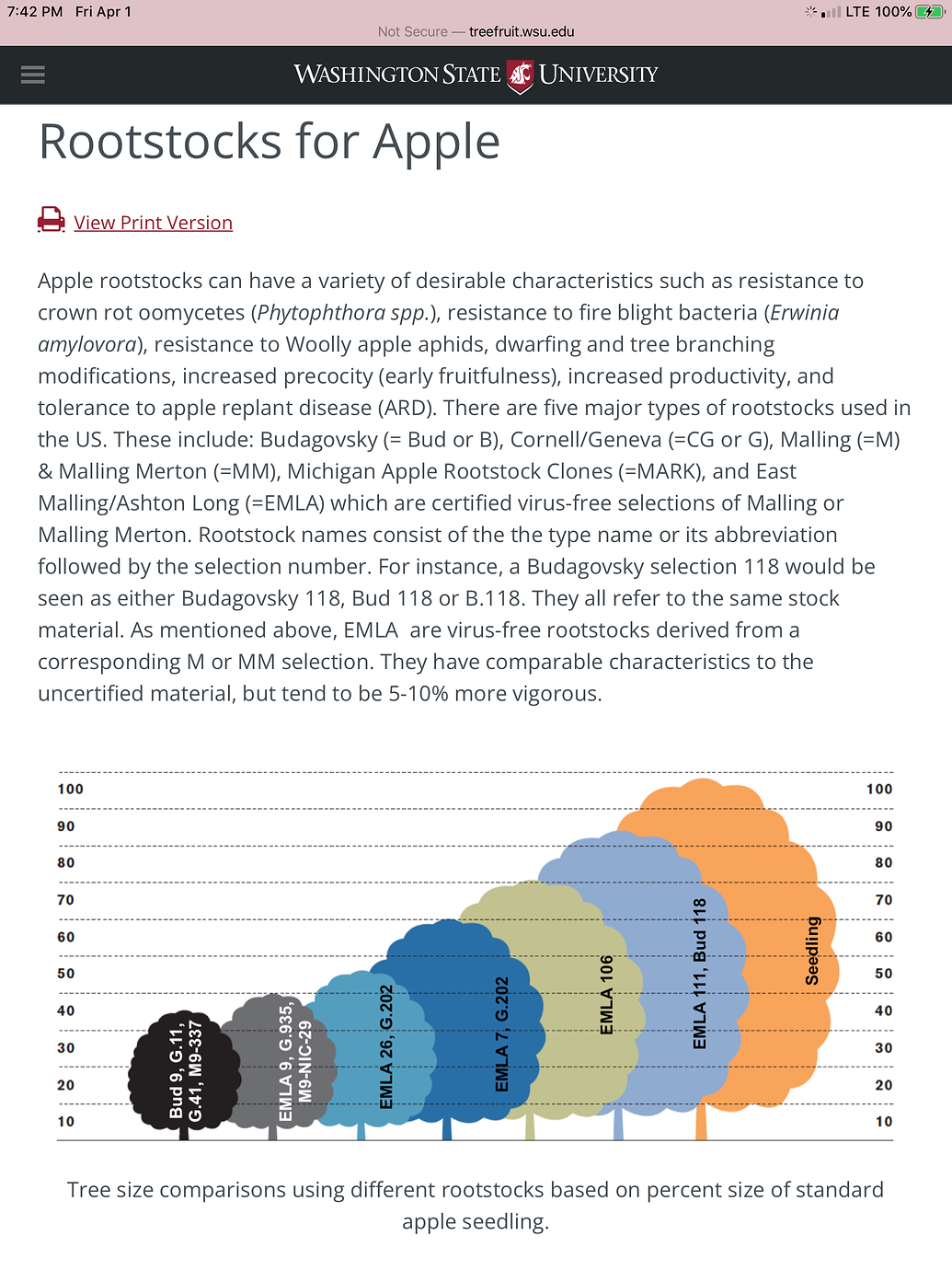 Apple Rootstock comparison - General Fruit Growing - Growing Fruit