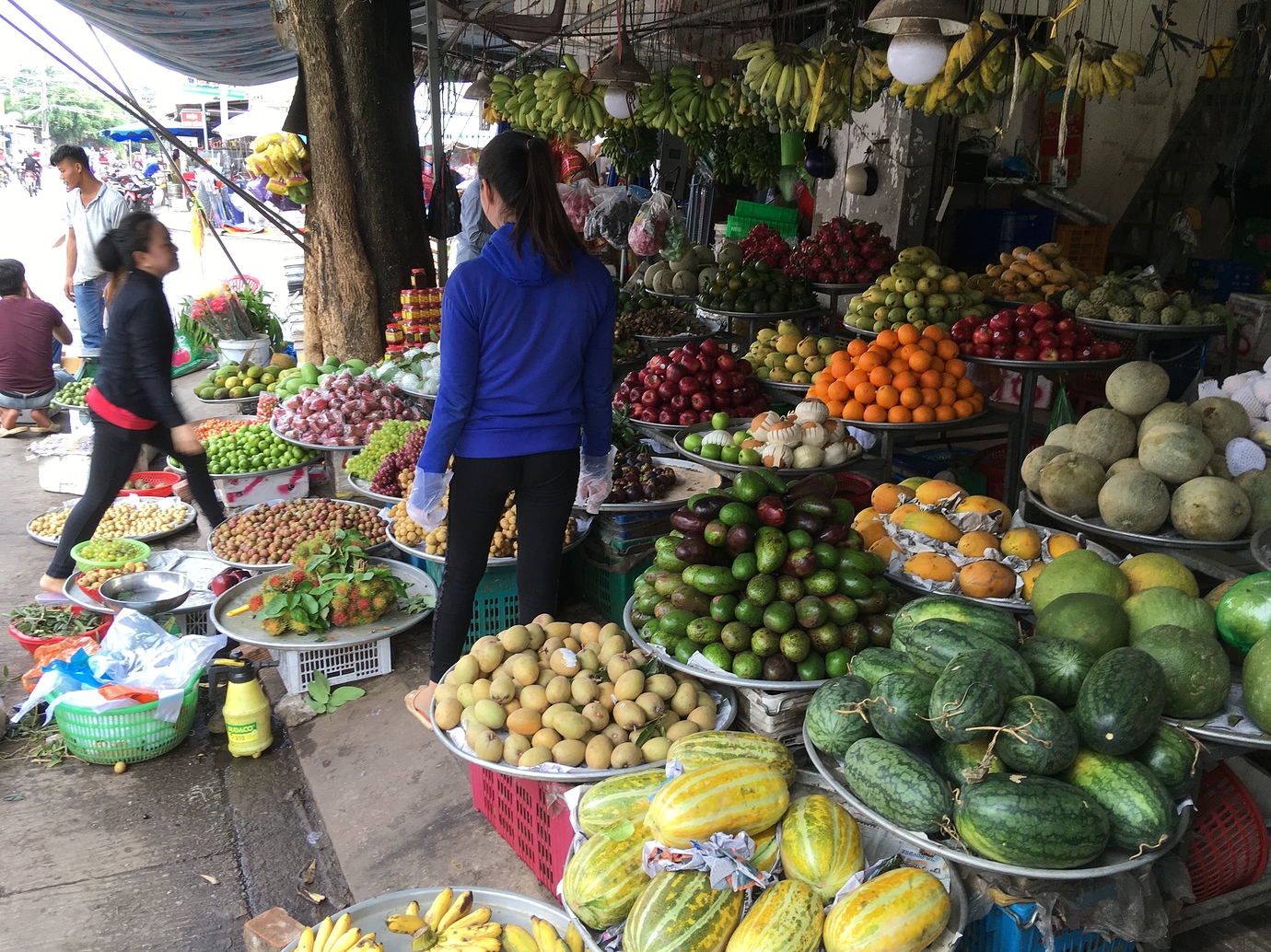 Back from a year in Malaysia, plus SE asian fruits - General Fruit ...