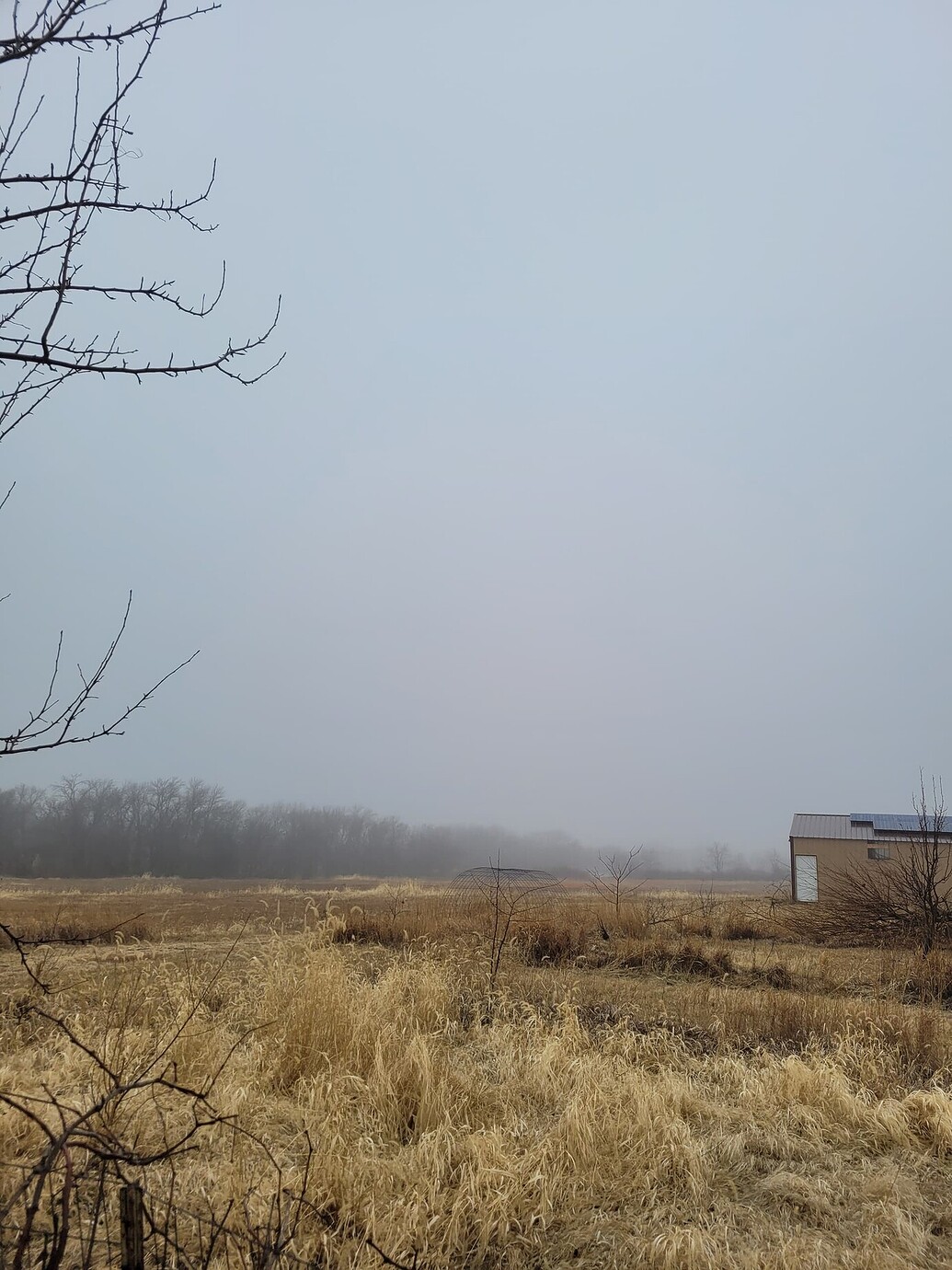 Cloud Fisher water collection - Extracting water from fog - General ...