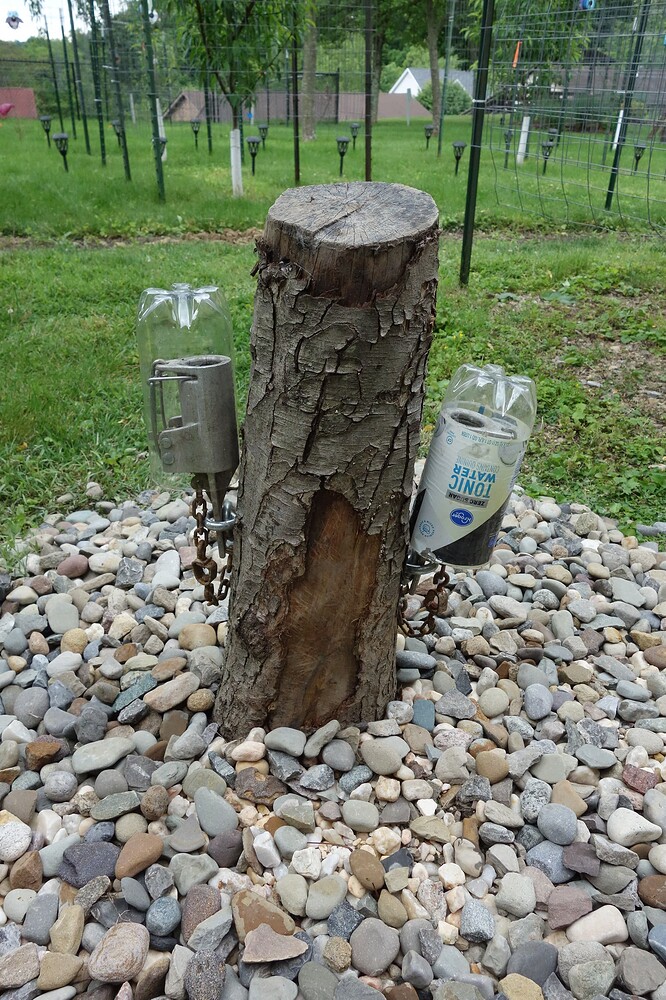 Good way to weatherproof coon traps - General Gardening - Growing Fruit