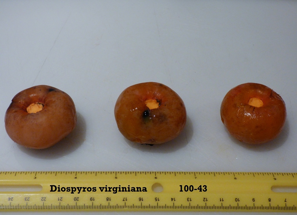 Jerry Lehman's Orchard Fall 2017 - General Fruit Growing - Growing Fruit