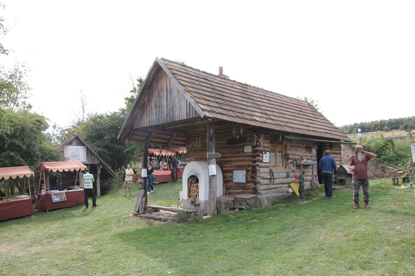 True service tree (Sorbus Domestica) - Pictures! - Growing Fruit