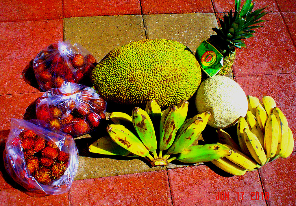 Native american, transpacific, and transatlantic bounty - General Fruit ...