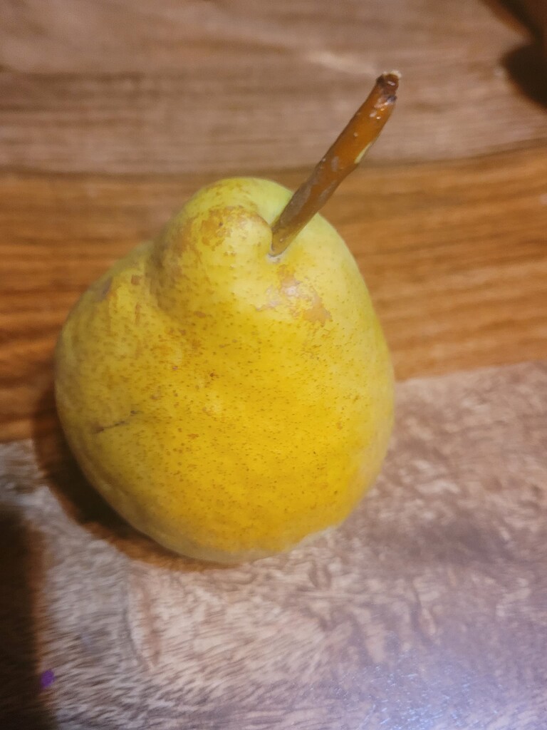 Jumbo pear aka jumbo stark pear or stark jumbo pear - General Fruit ...