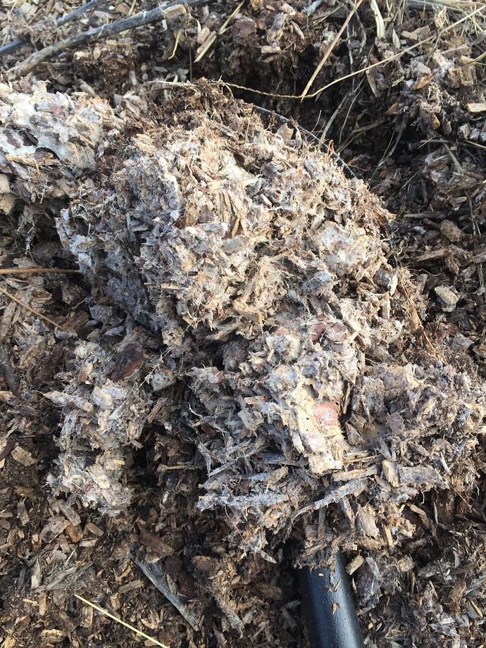 Killer Compost. Please Advise - General Fruit Growing - Growing Fruit