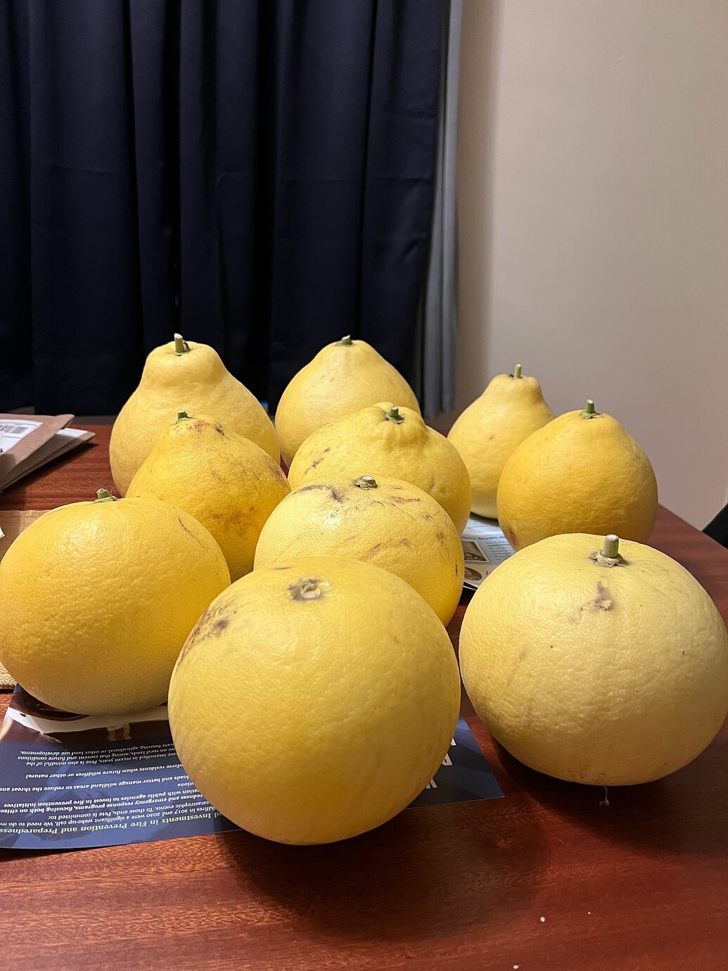 Pomelo variety comparison - General Fruit Growing - Growing Fruit