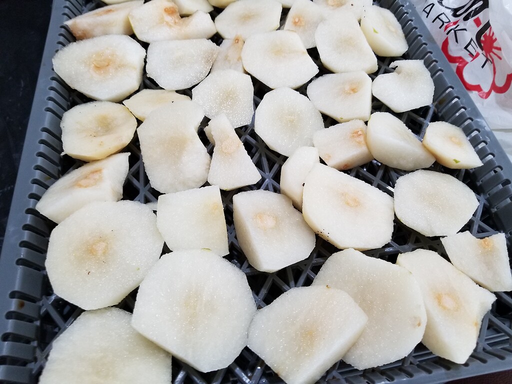 Dried Yali, Shinko, Korean Giant and for year round snack - General ...