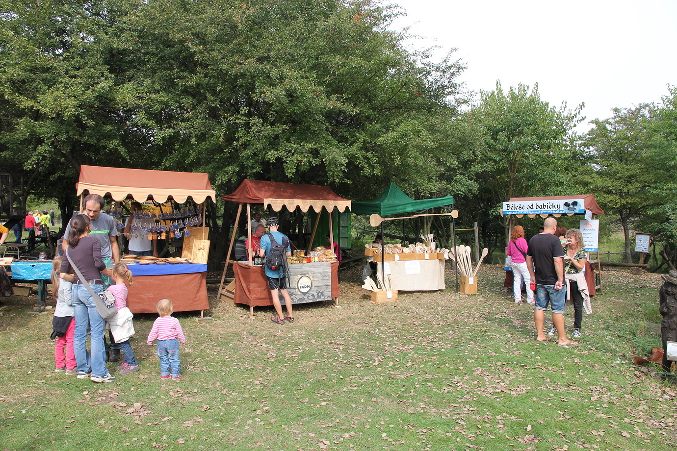True service tree (Sorbus Domestica) - Pictures! - Growing Fruit