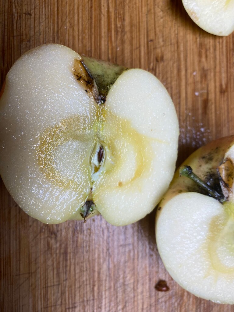 What is going on inside my Fuji Apples - General Fruit Growing ...