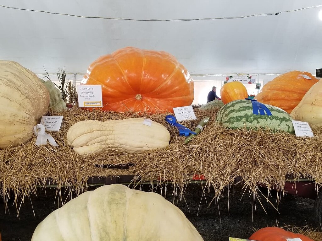 Virginia State Fair Biggest - General Gardening - Growing Fruit