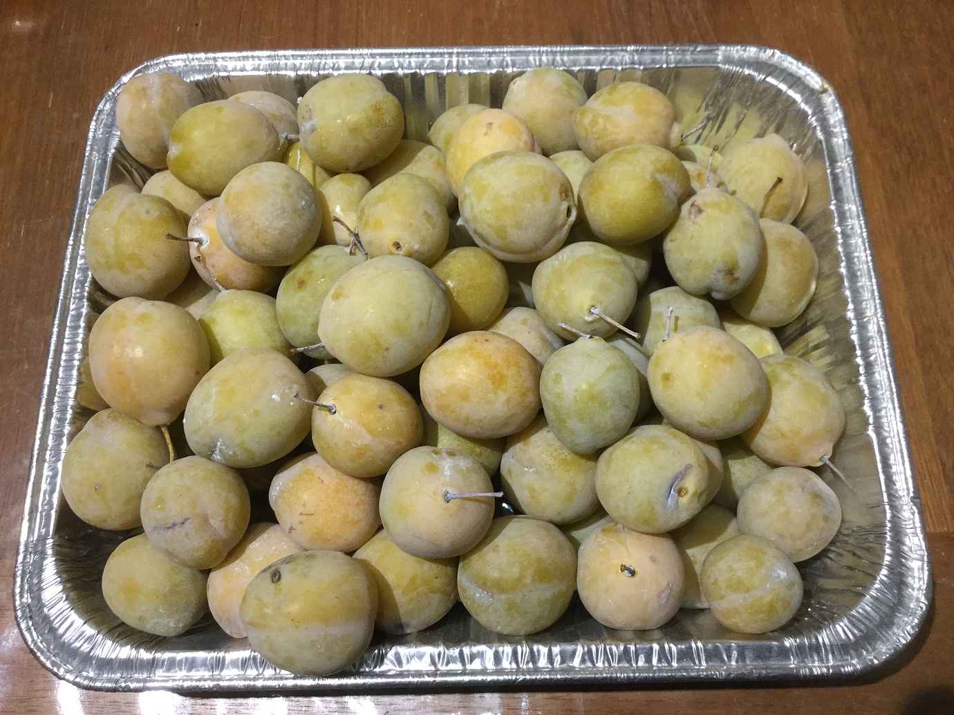 What to do with these unripe European plums - Fruit in the Kitchen ...