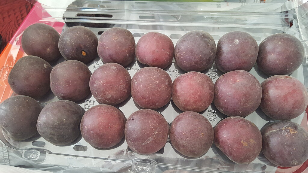 Black Velvet Aprium - General Fruit Growing - Growing Fruit