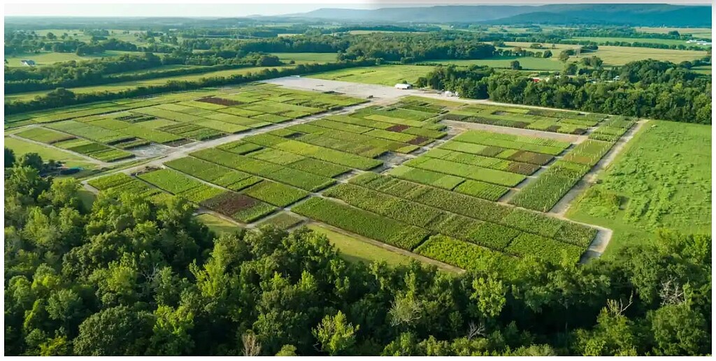 Freedom Tree Farms - Tennessee - General Fruit Growing - Growing Fruit
