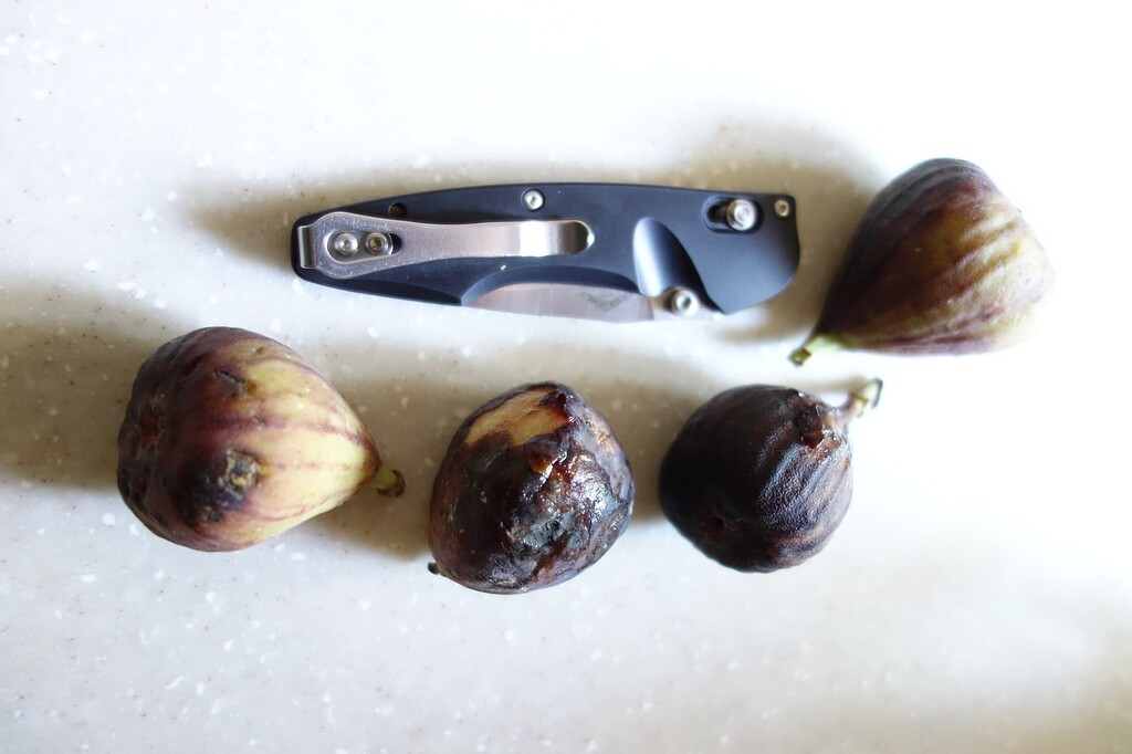 In the Rustbelt this is what we get for figs in the store - General ...