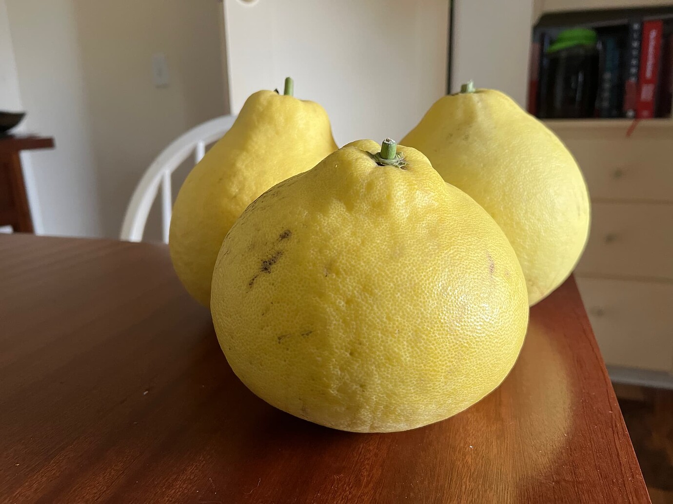 Pomelo variety comparison - General Fruit Growing - Growing Fruit