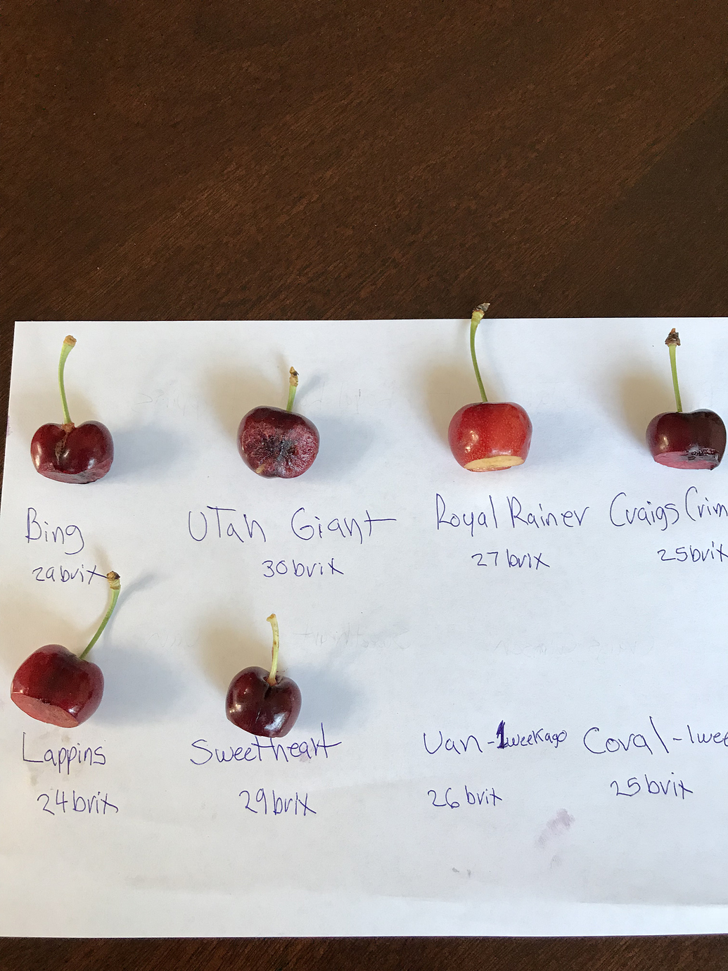 Ranking of varieties of cherries, only "high quality" varieties ...