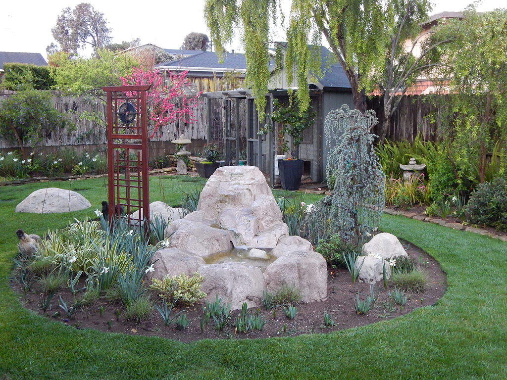 Back Yard Landscaping - General Gardening - Growing Fruit