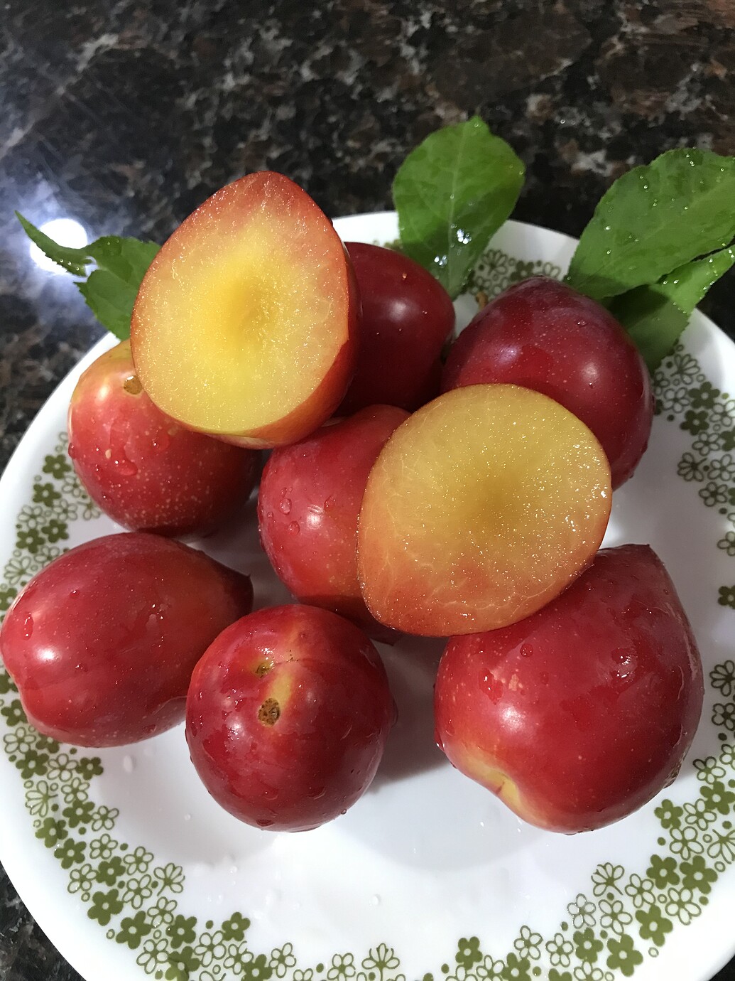 Sweet Treat Pluerry in Maritime Pacific Northwest - General Fruit ...
