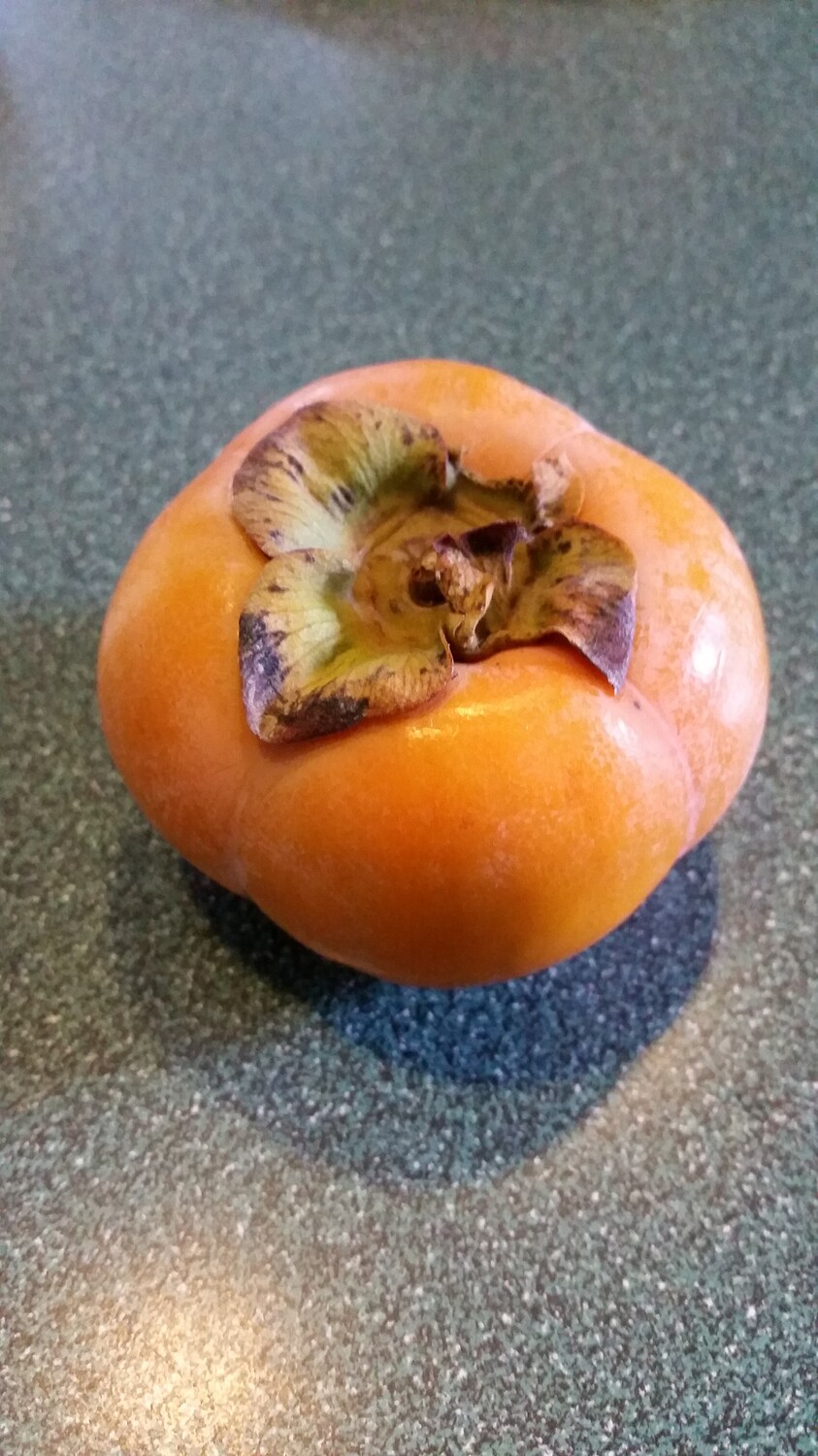 Fuyu Persimmon at my local grocery - General Fruit Growing - Growing Fruit